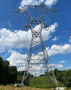 Dominion Energy Project: Wishing Star to Mars - Loudoun Wildlife ...