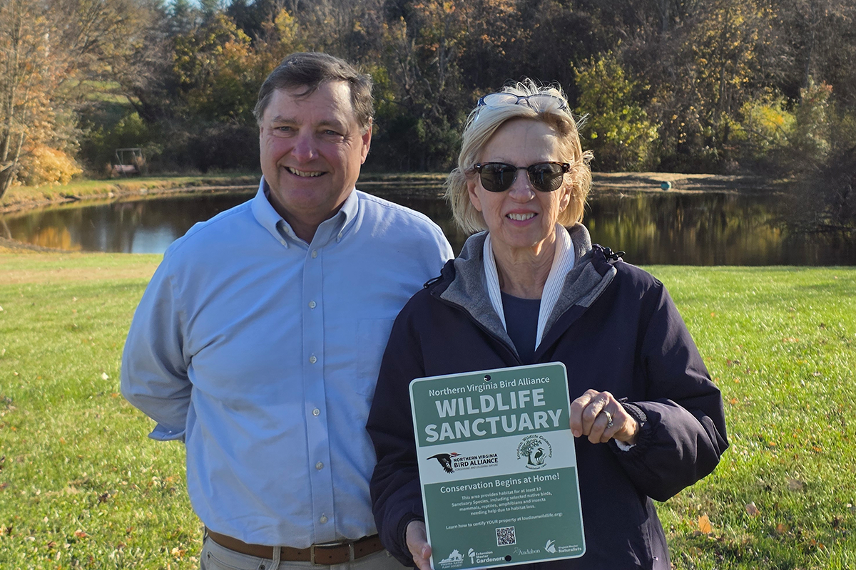 Shaping Our Wildlife Sanctuary Program: How Can You Help Wildlife ...